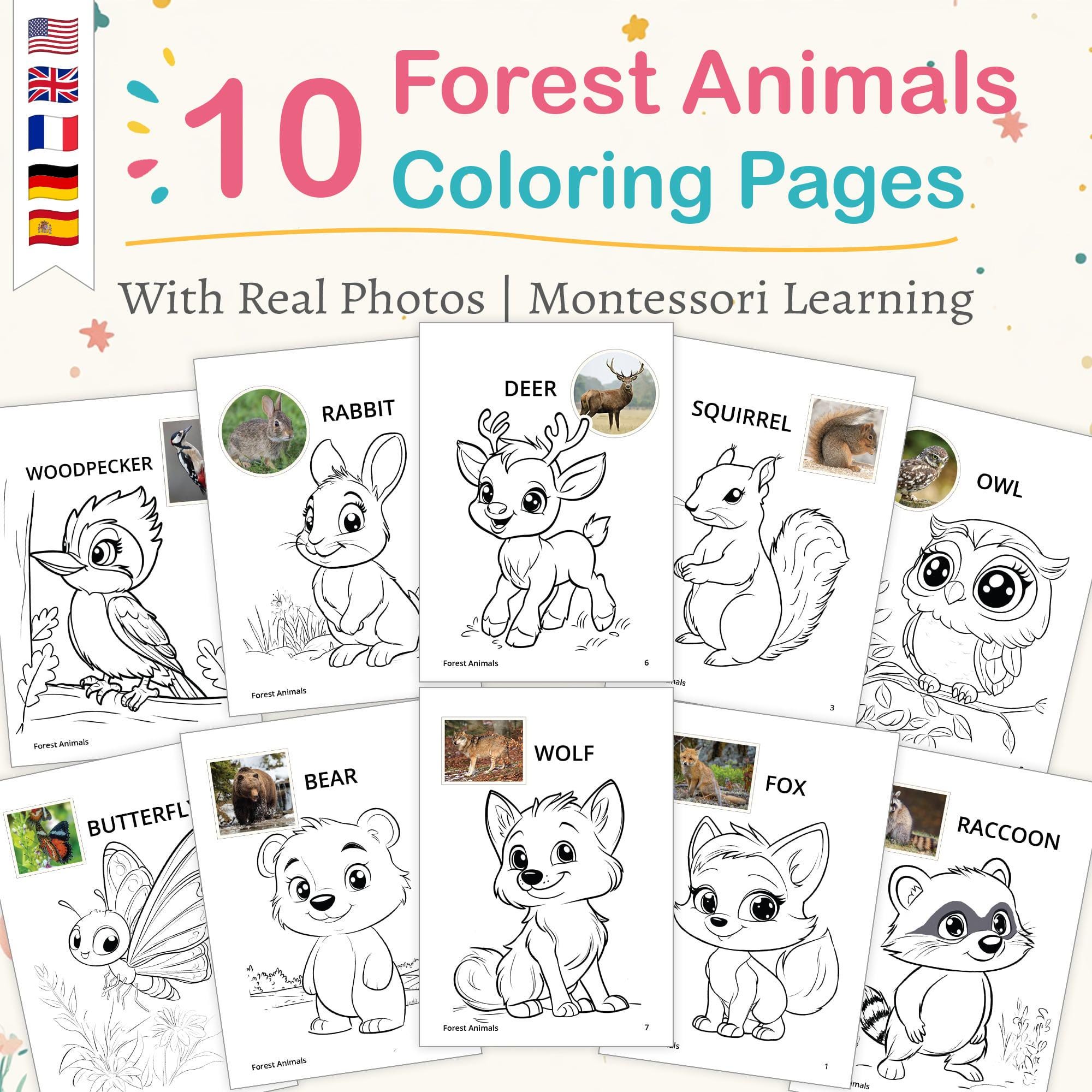 10 Forest Animal Coloring Pages With Photos, Kids Coloring, Montessori ...