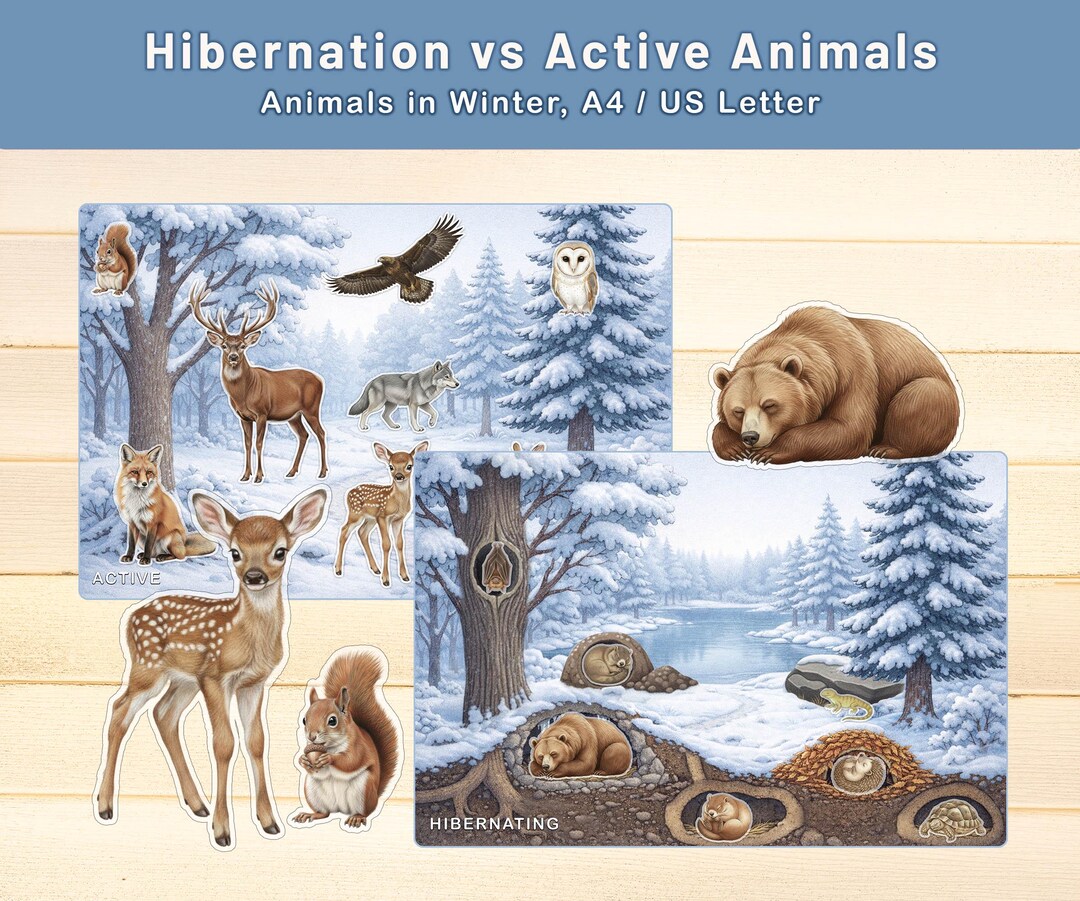 Winter Animals Activity, Hibernation Sorting Game (PDF Download) - Etsy