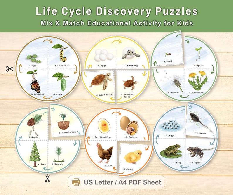 Life Cycle Printable Puzzle Set: Mix & Match Montessori Educational ...