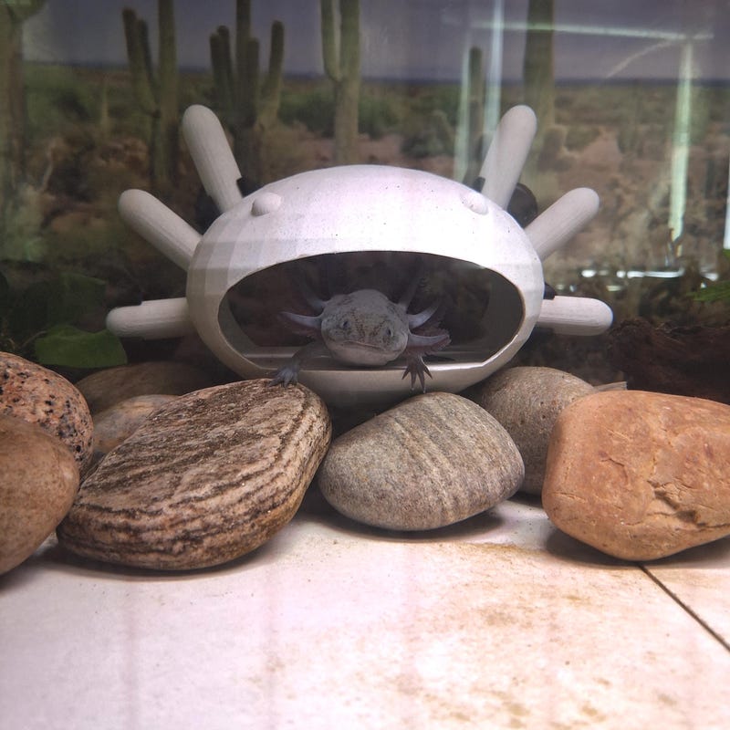 Axolotl House for Tank - Etsy UK