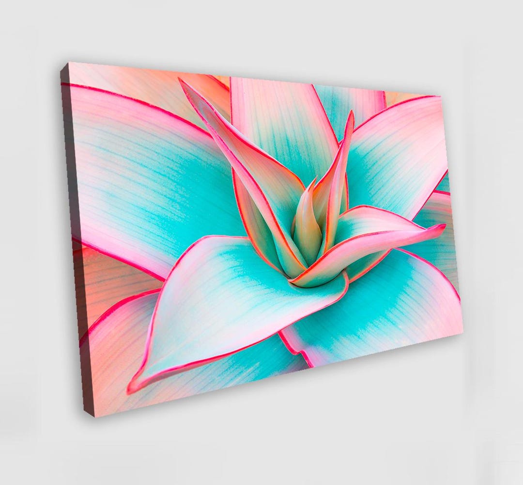 Agave Wall Art Canvas Print Agave Poster Agave Print Cactus Wall Art ...