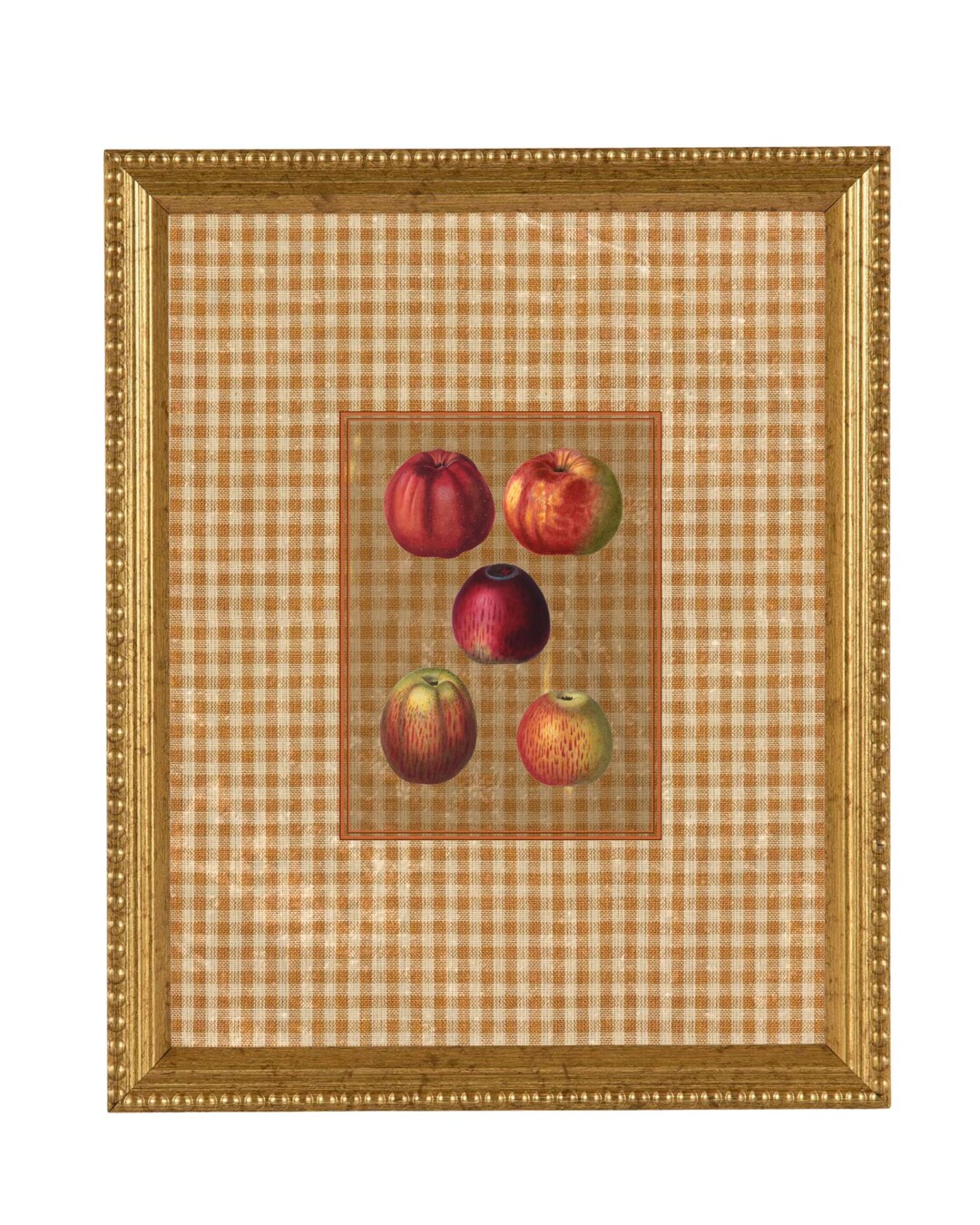 Gala Gang - Antique Fruit III- FRAMED, 8x10" Inches, Home Decor ...