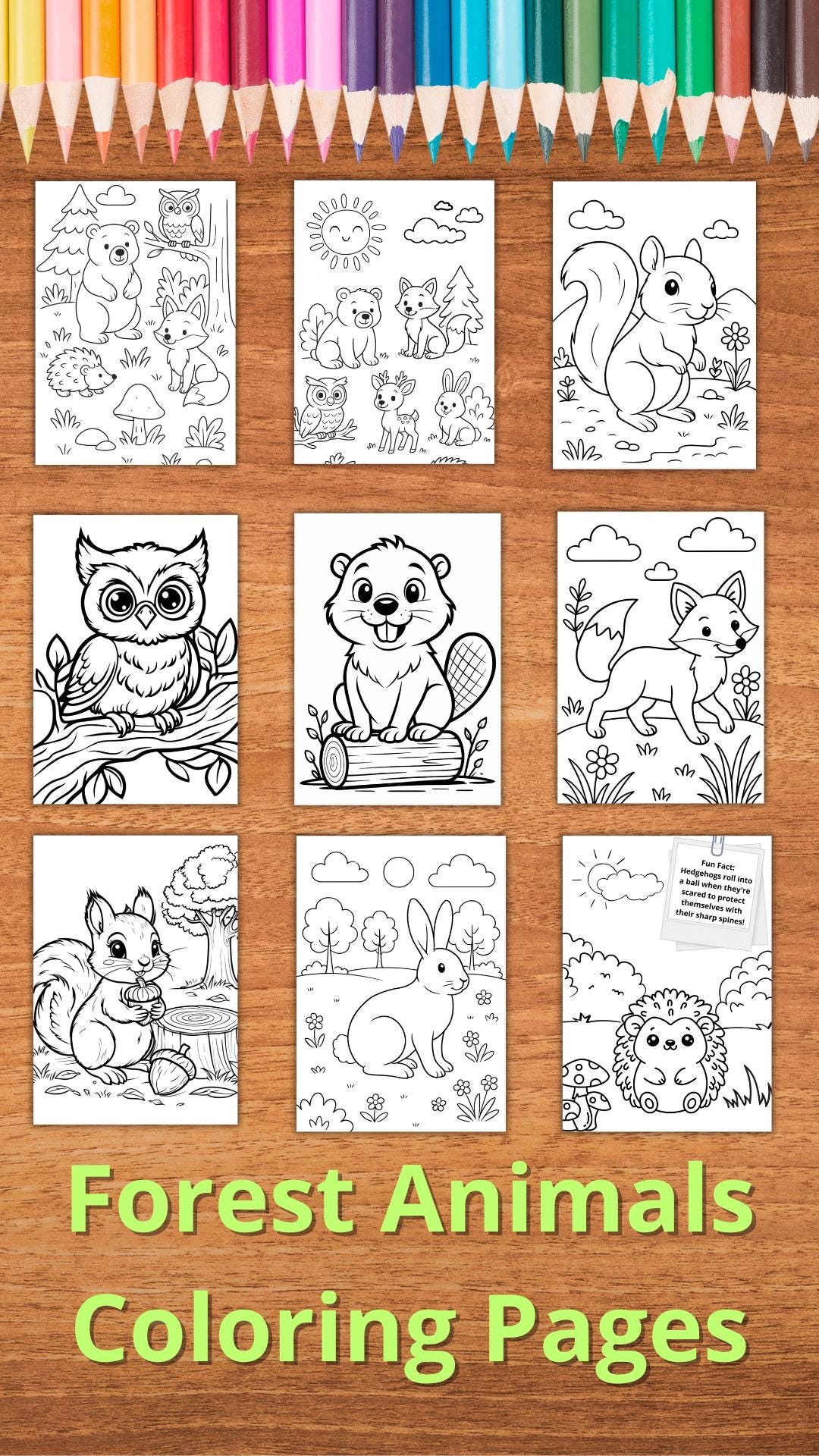 Forest Animal Coloring Book for Kids, Toddler Coloring Activity Pages ...