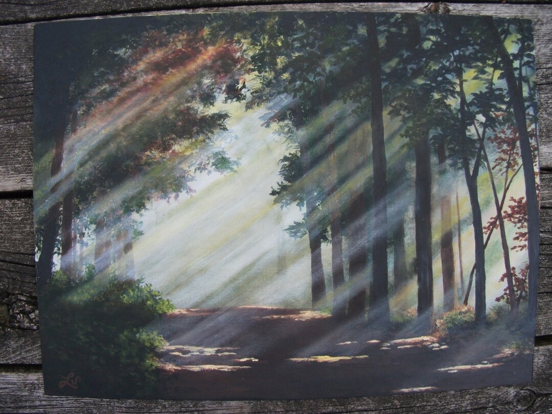 Woods, Trees, Fall, Autumn, Sunbeam, Sunlight, Forest, Path, Road ...
