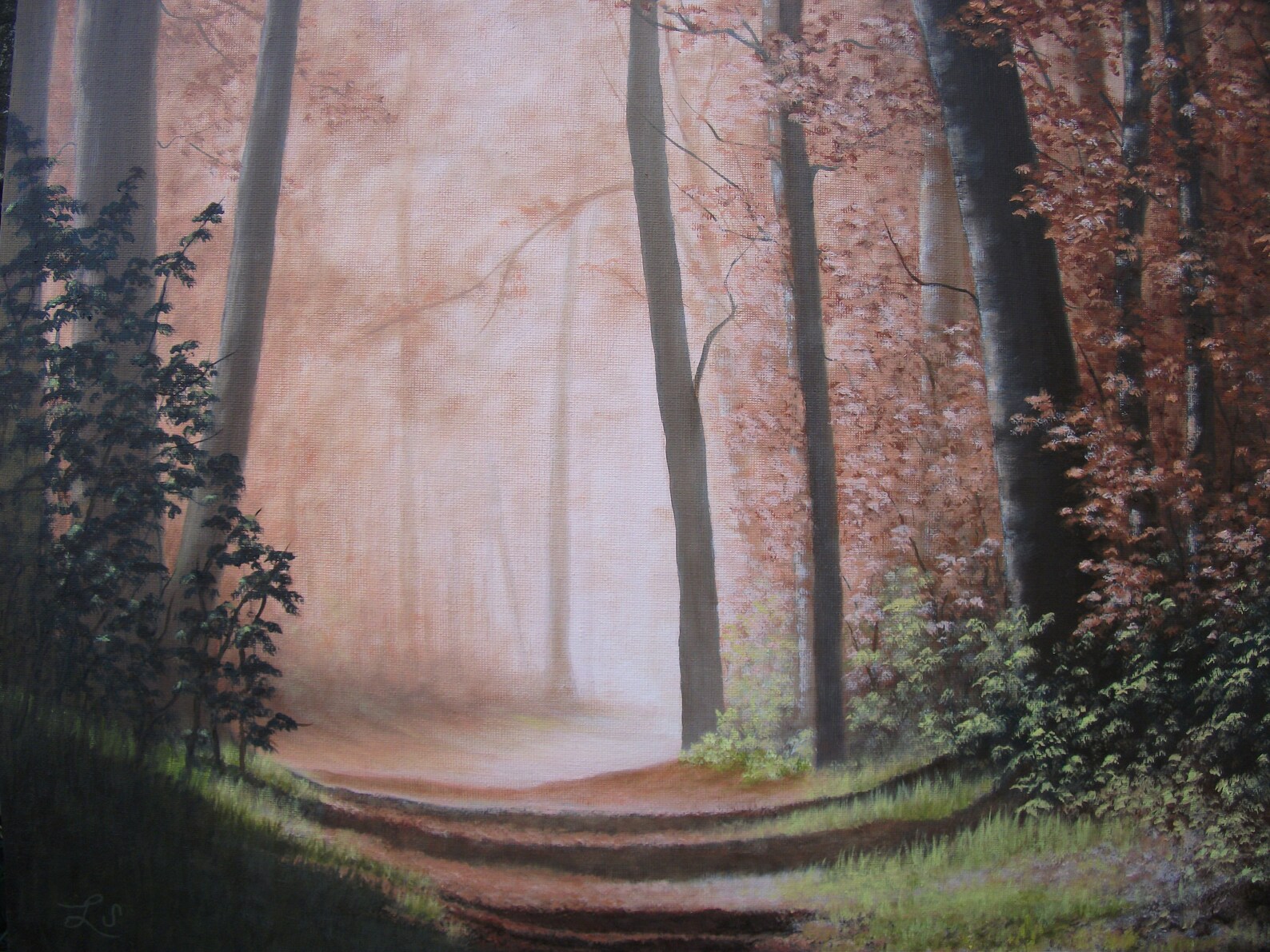 Woods, Forest, Trees, Autumn, Nature, Trail, Fall, Path, Leaves ...