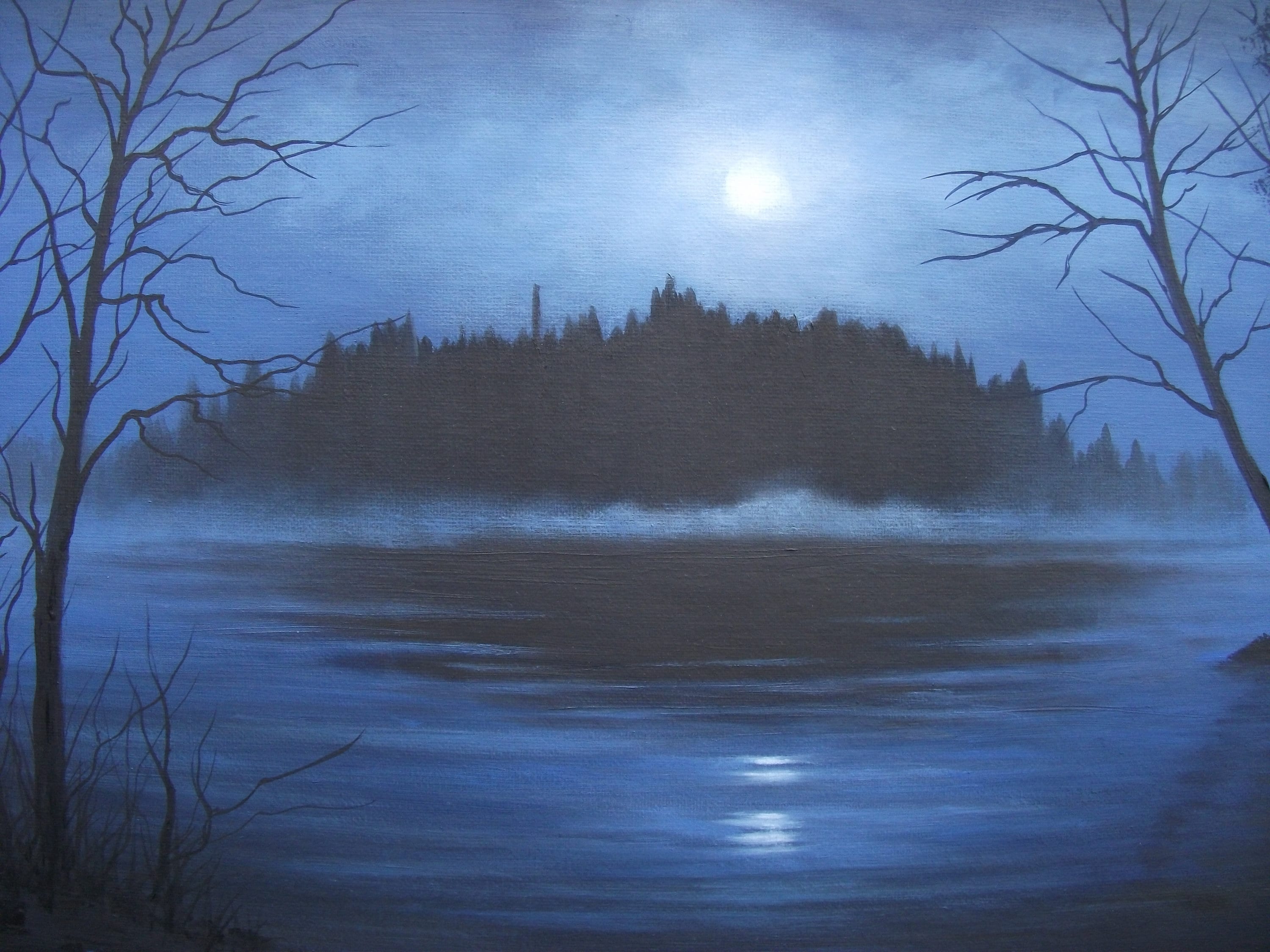 Woods, Forest, Lake, Pond, Night, Moon, Summer, Spring,trees ...