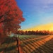 Sunrise, Sunset, Farm, Farmers, Field, Fence, Fall, Autumn, Tree ...