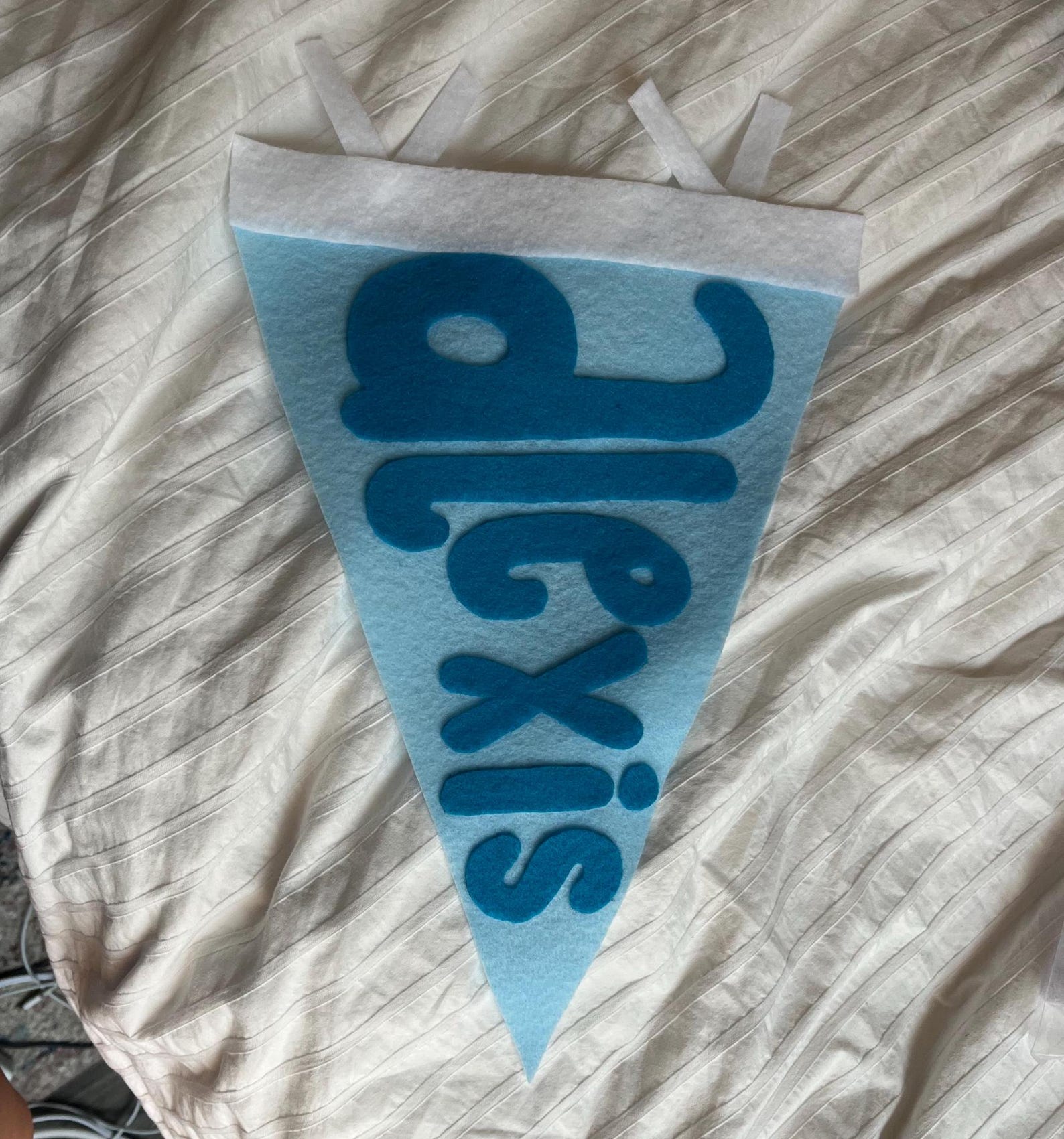 Personalized Felt Pennant | Sorority, College, Game Day, Dorm - Etsy