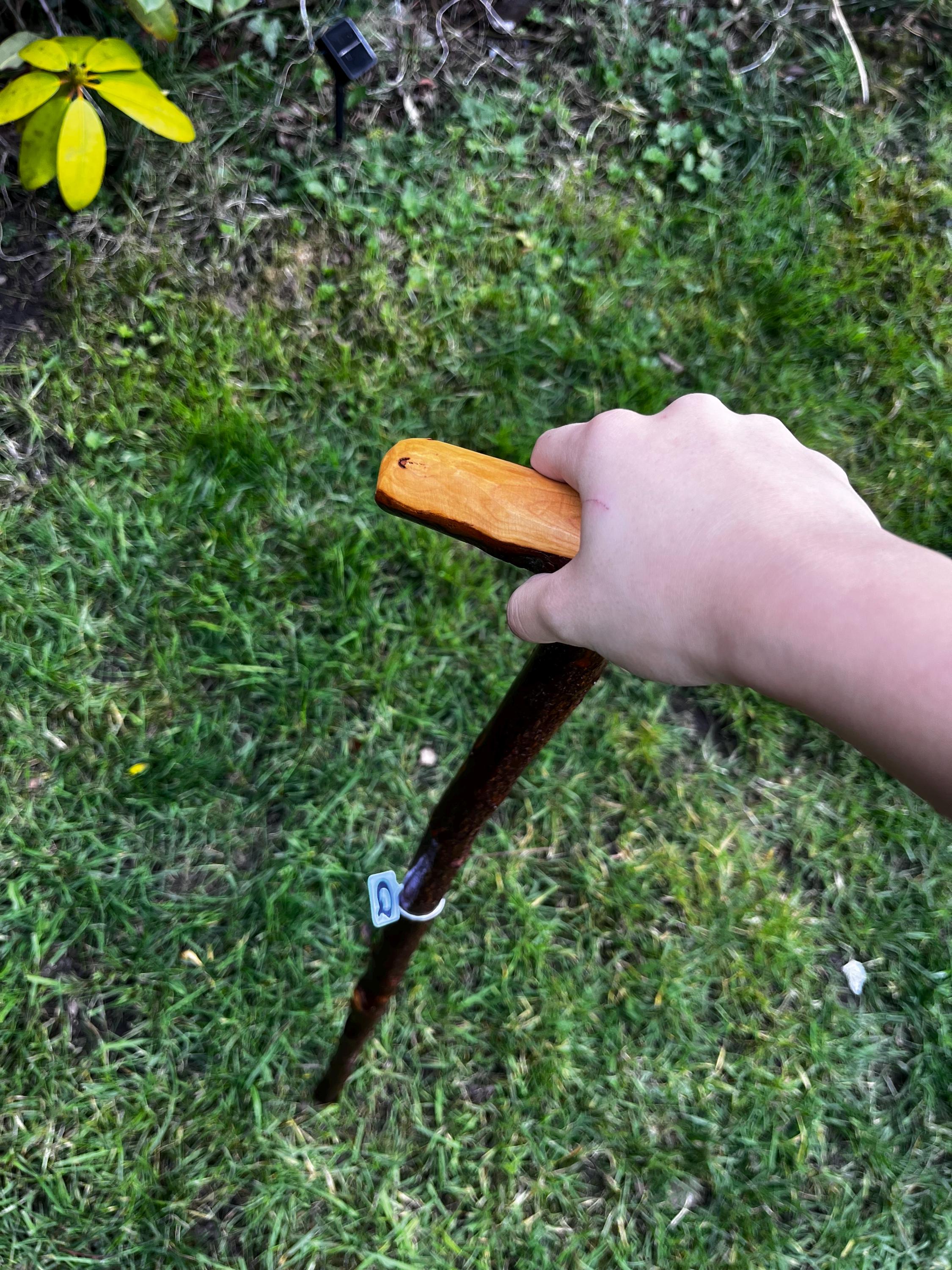 Jurassticks Black Thorn Handmade Walking Sticks - Q - Etsy