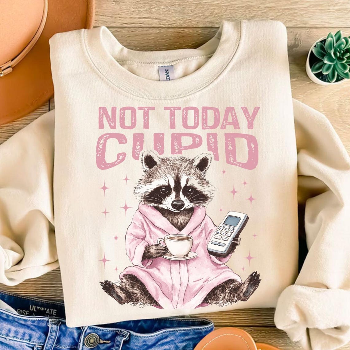 Valentine Snarky Raccoon Png Bundle, Sarcastic Valentines Day Png ...
