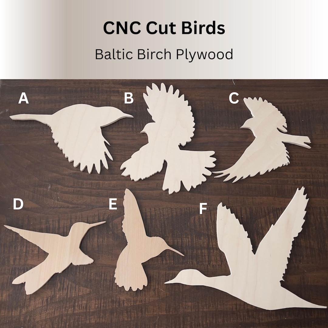 Baltic Birch Wooden Bird Cutouts – Unfinished DIY Craft Shapes - Etsy