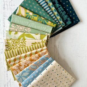Evolve Collection by Suzy Quilts for Art Gallery Fabrics 16 Fat Quarters Bundle - Etsy