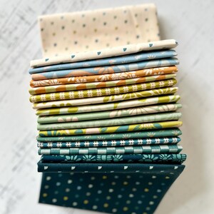 Evolve Collection by Suzy Quilts for Art Gallery Fabrics 16 Fat Quarters Bundle - Etsy