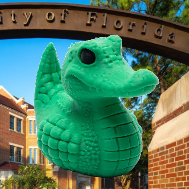 Alligator Favors - Etsy