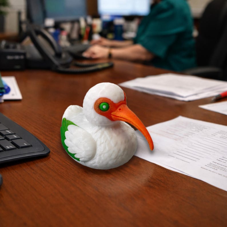 Canes Ibis Duck Gift Hurricanes Fan University Football Team Duck Ibis ...