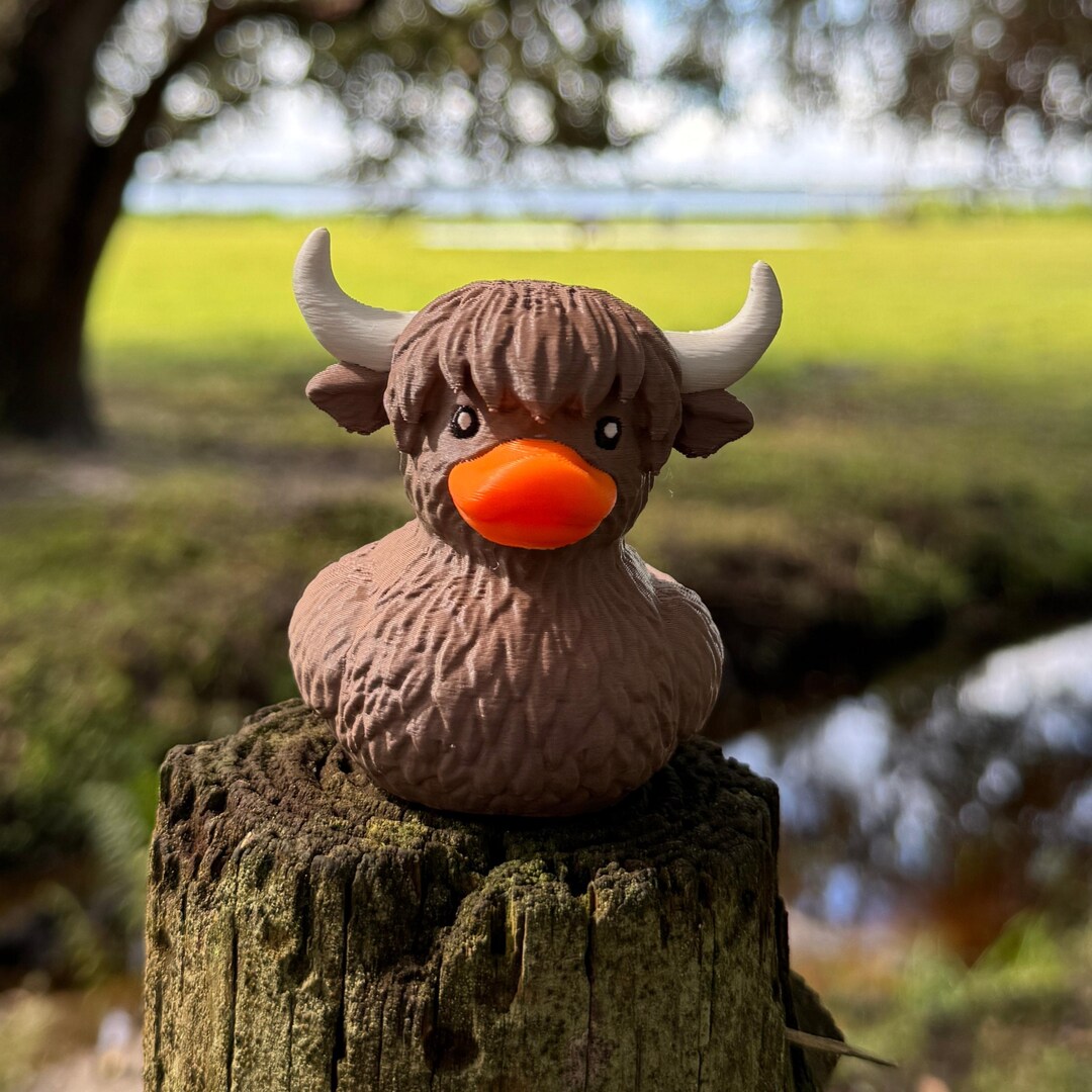 Highland Cow Duck Dashboard Decoration Rustic Style Western Decor ...