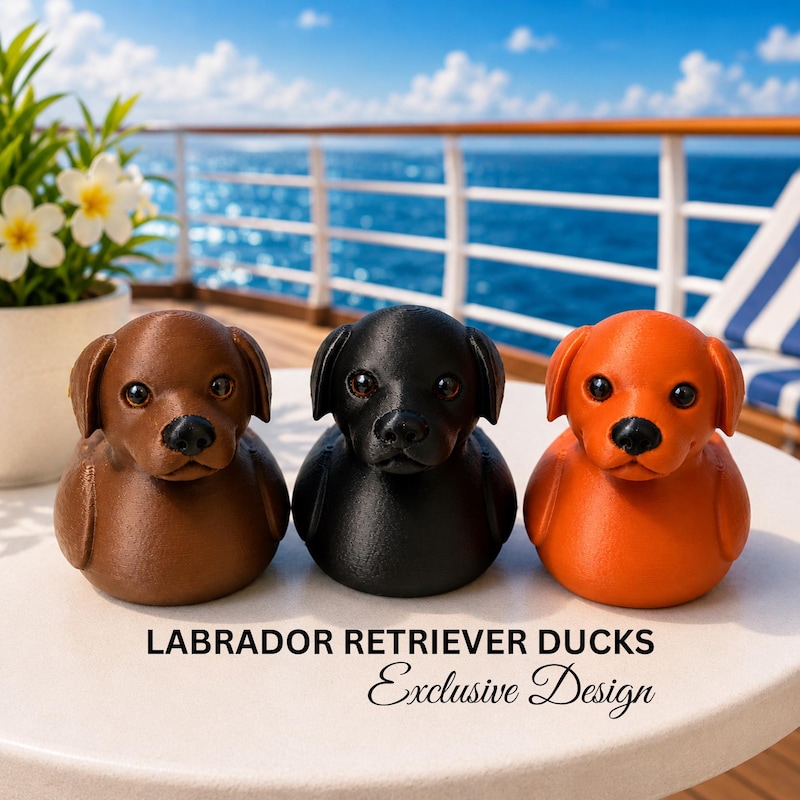 Birthday Chocolate Lab - Etsy