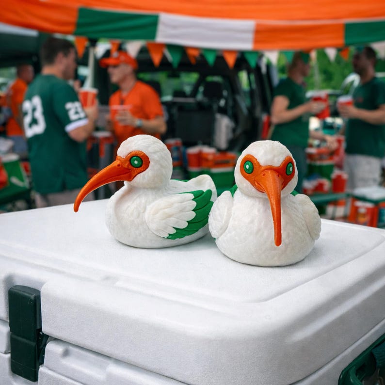 Canes Ibis Duck Gift Hurricanes Fan University Football Team Duck Ibis ...