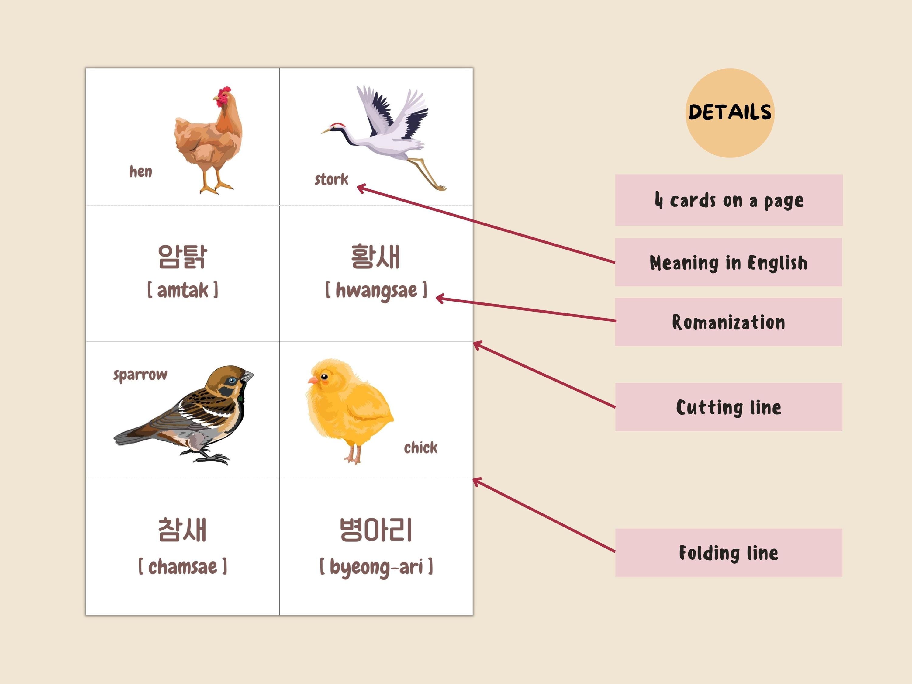 Printable Korean Vocabulary Flashcards, Animal Flashcards for Learning ...