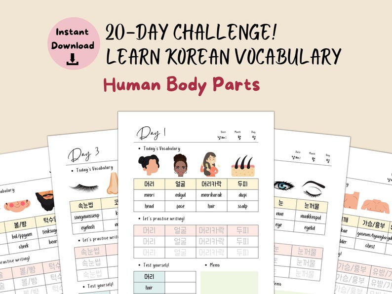 Printable Korean Challenge Worksheets, Body Part Vocabulary Words in ...