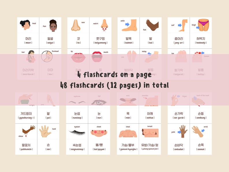 Korean Body Parts Flashcards, Learn Korean Vocabulary, Korean Vocab ...
