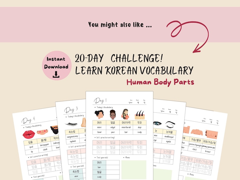 Korean Body Parts Flashcards, Learn Korean Vocabulary, Korean Vocab ...