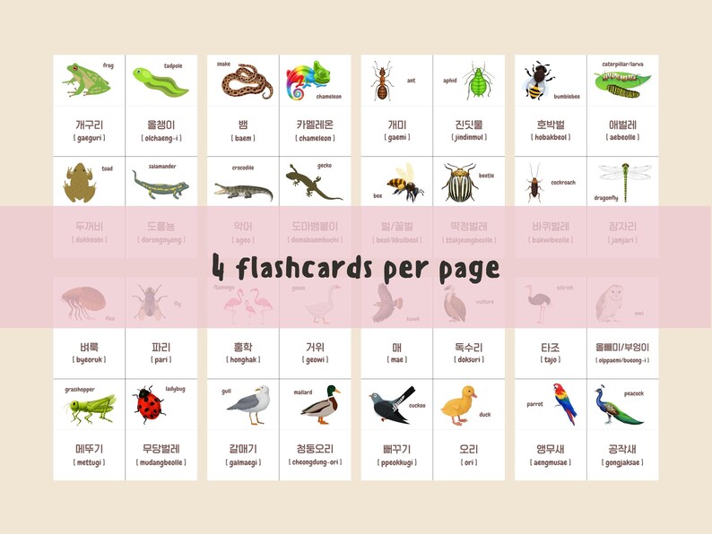 Printable Korean Vocabulary Flashcards, Animal Flashcards for Learning ...