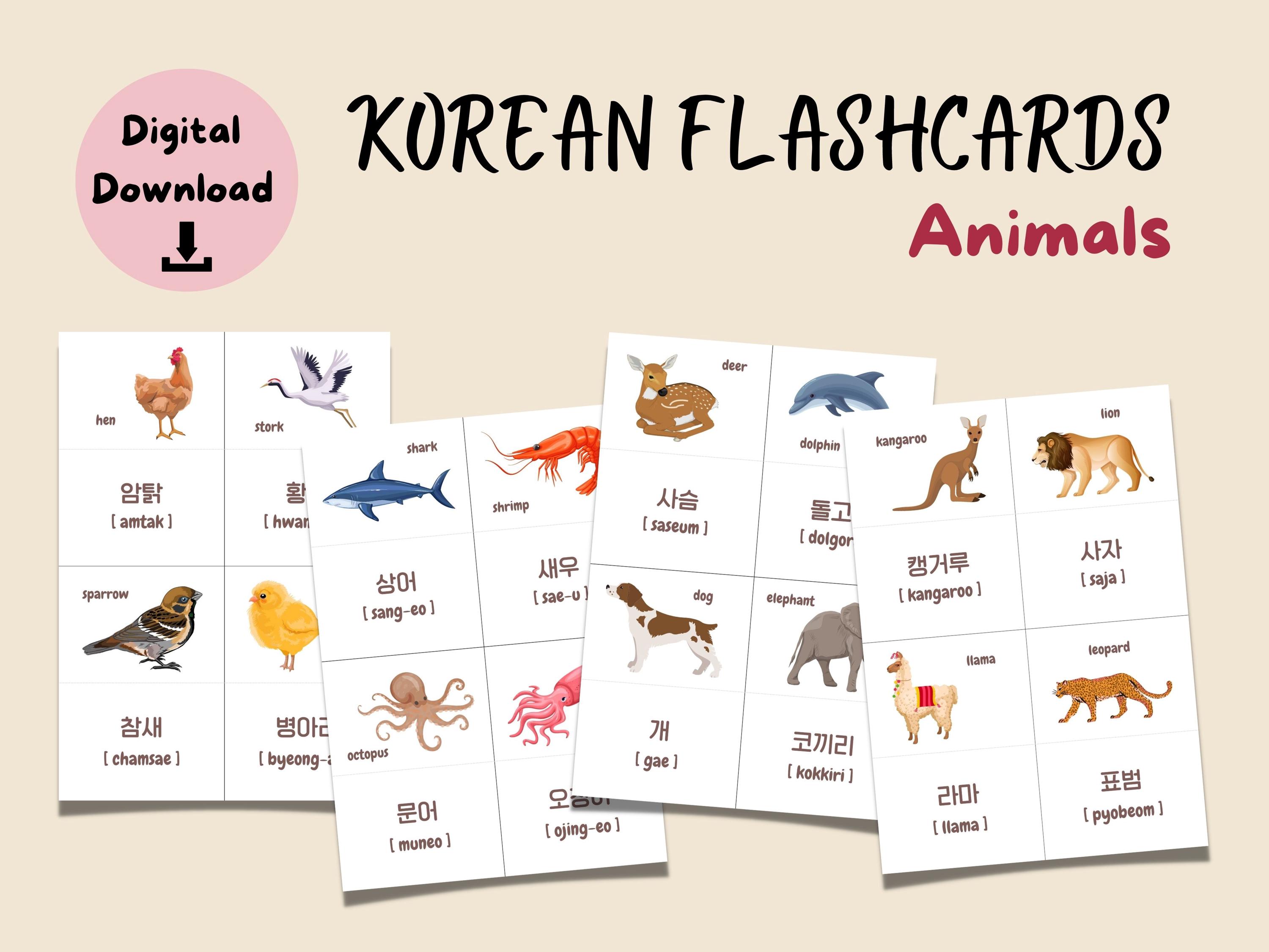 Printable Korean Vocabulary Flashcards, Animal Flashcards for Learning ...