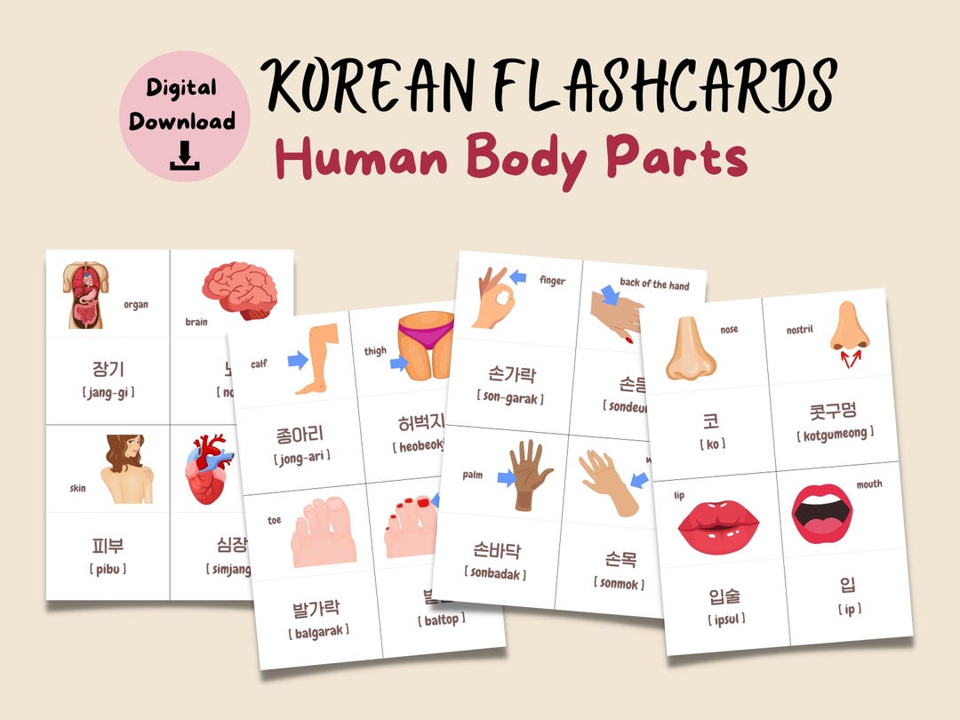 Korean Body Parts Flashcards, Learn Korean Vocabulary, Korean Vocab ...