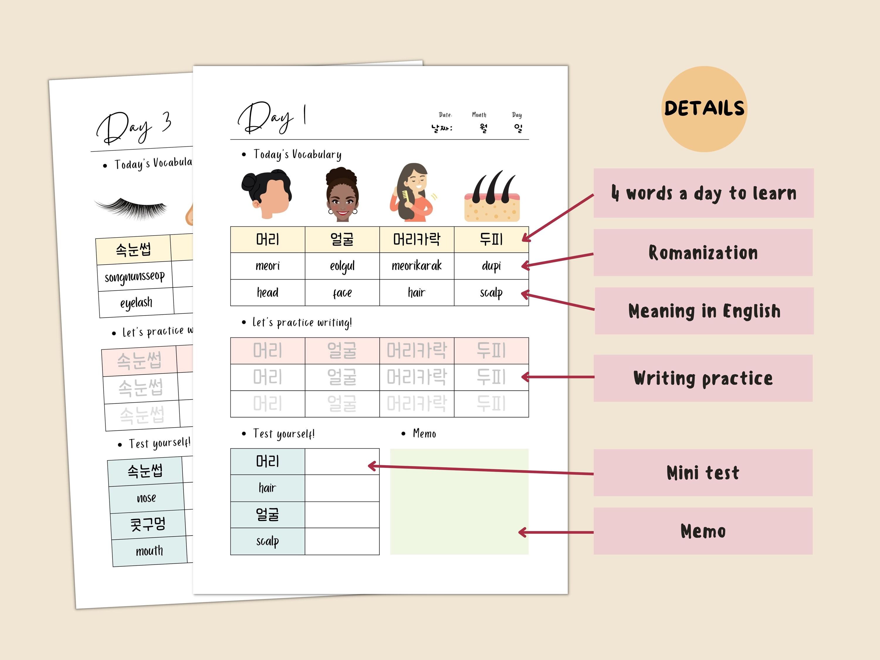 Printable Korean Challenge Worksheets, Body Part Vocabulary Words in ...