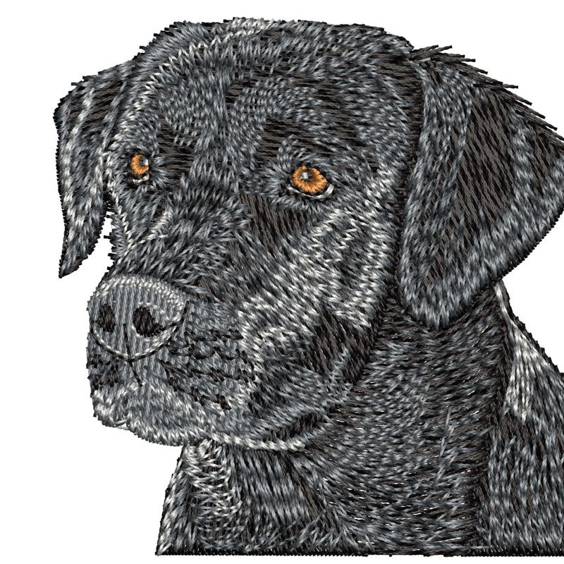 Lab Embroidery Design - Etsy