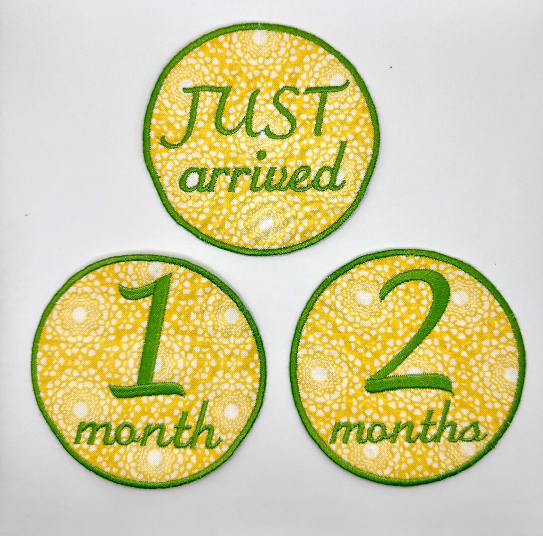 First Year Milestone Markers - Etsy