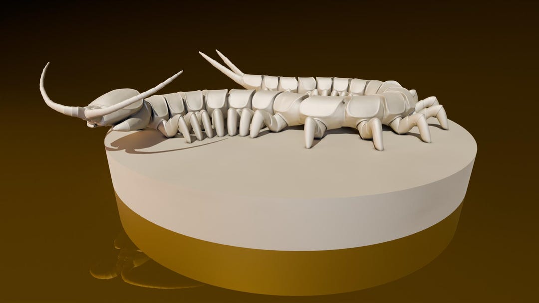 Giant Centipede | DND Miniatures | DND Model | Dungeonguildmerchant ...