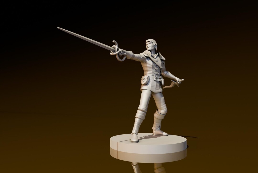 Human Male Swashbuckler | DND Miniatures | DND Model ...