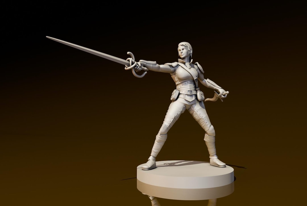 Human Female Swashbuckler | DND Miniatures | DND Model ...