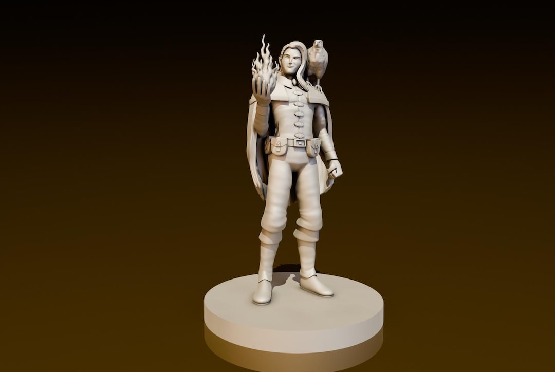 Elf Male Sorcerer With Hawk | DND Miniatures | DND Model ...