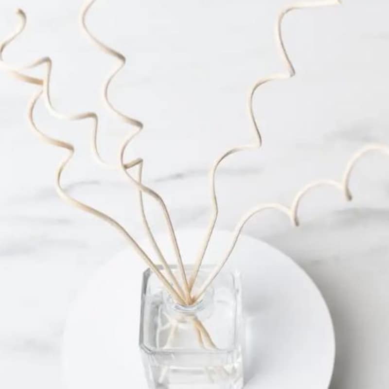 Flower Sticks Diffusor - Etsy
