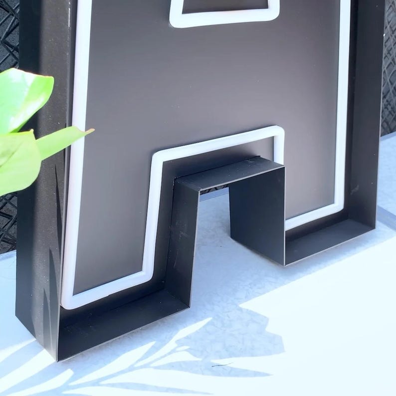 Custom Open Face Channel Letter Neon Sign, Exposed LED Tubes, Hidden ...