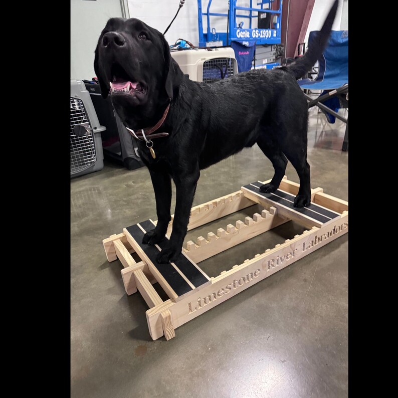 Dog Stacking Platform Adjustable & Personalized - Etsy