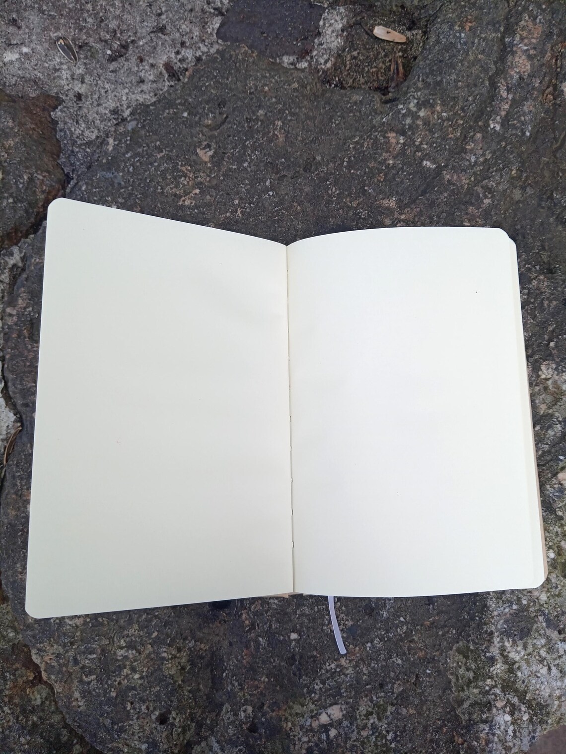 Pressed Flower Journal A5 – Botanical Notebook With Real Dried Flowers ...