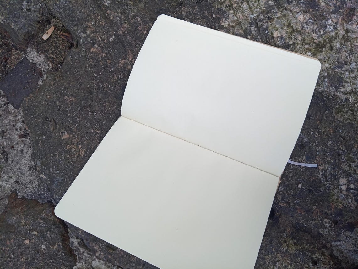 Pressed Flower Journal A5 – Botanical Notebook With Real Dried Flowers ...