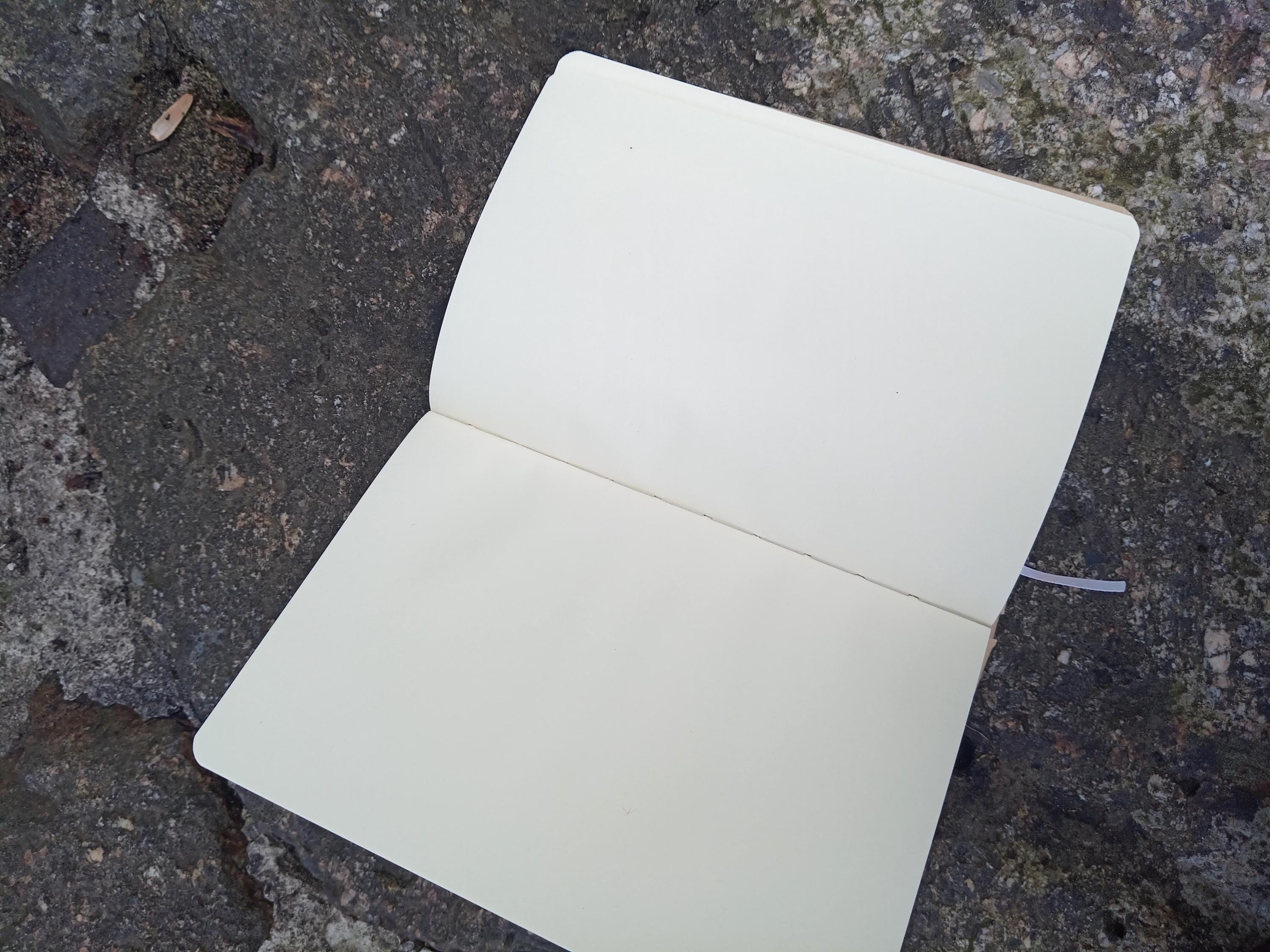 Pressed Flower Journal A5 – Botanical Notebook With Real Dried Flowers ...
