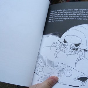 COLOR THE ABYSS - A Scientific Deep-sea Biology Coloring Book!! - Etsy
