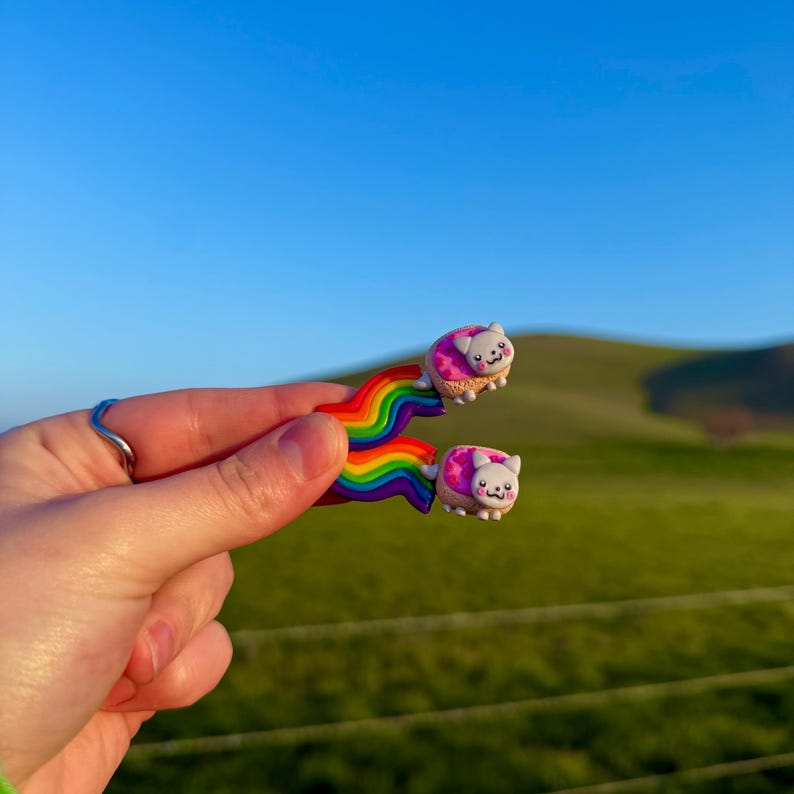 PREORDER* Glossy Nyan Cat Hair Clip – Handmade Nostalgic Polymer Clay ...