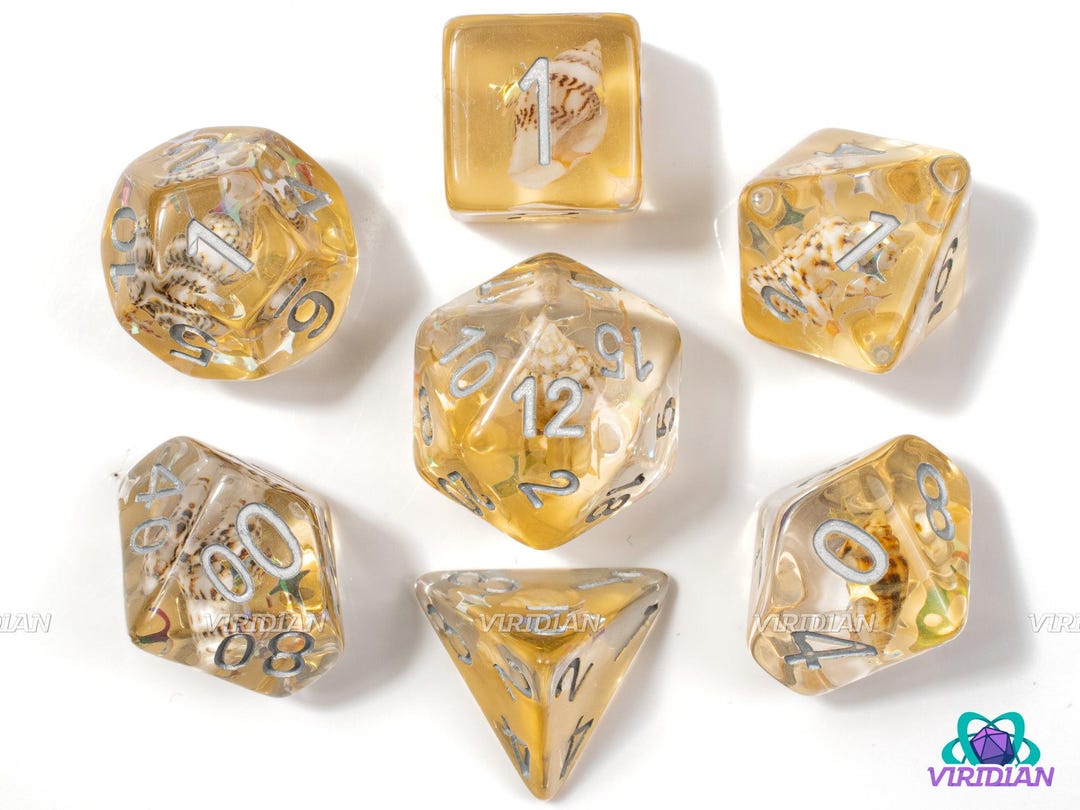 Beachin' | Sea Shell, Beige, Real Conch Shell, Cream-tan Translucent ...