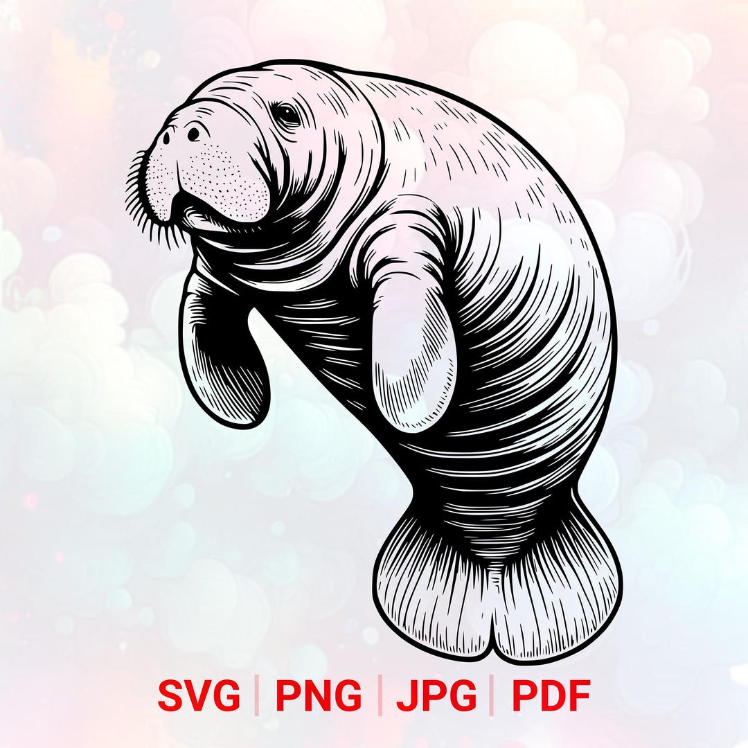 Manatee SVG: PNG, Animal Clipart, Vector Design, Laser Cut File ...