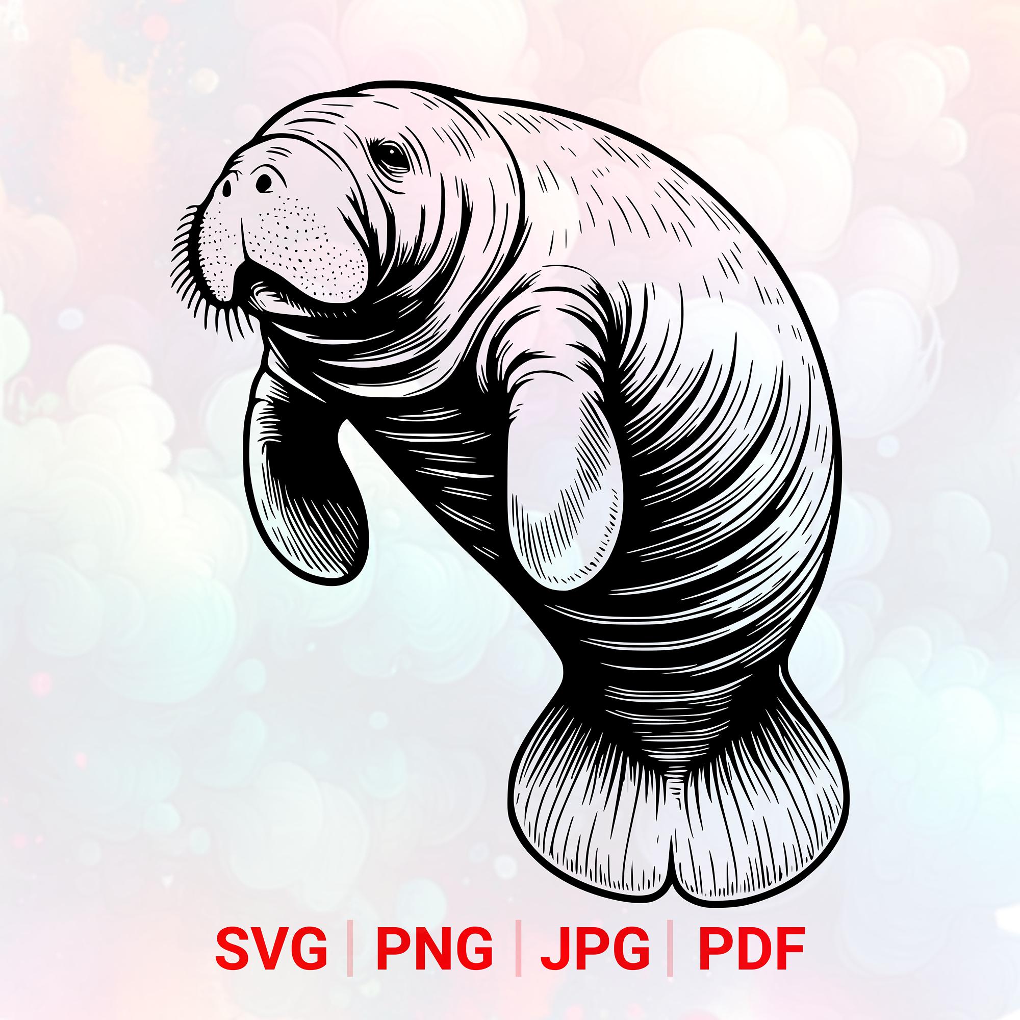 Manatee SVG: PNG, Animal Clipart, Vector Design, Laser Cut File ...