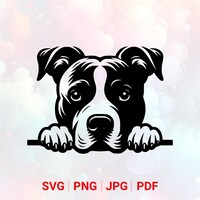 American Bully SVG Cut File for Cricut or Silhouette | Pitbull SVG PNG ...