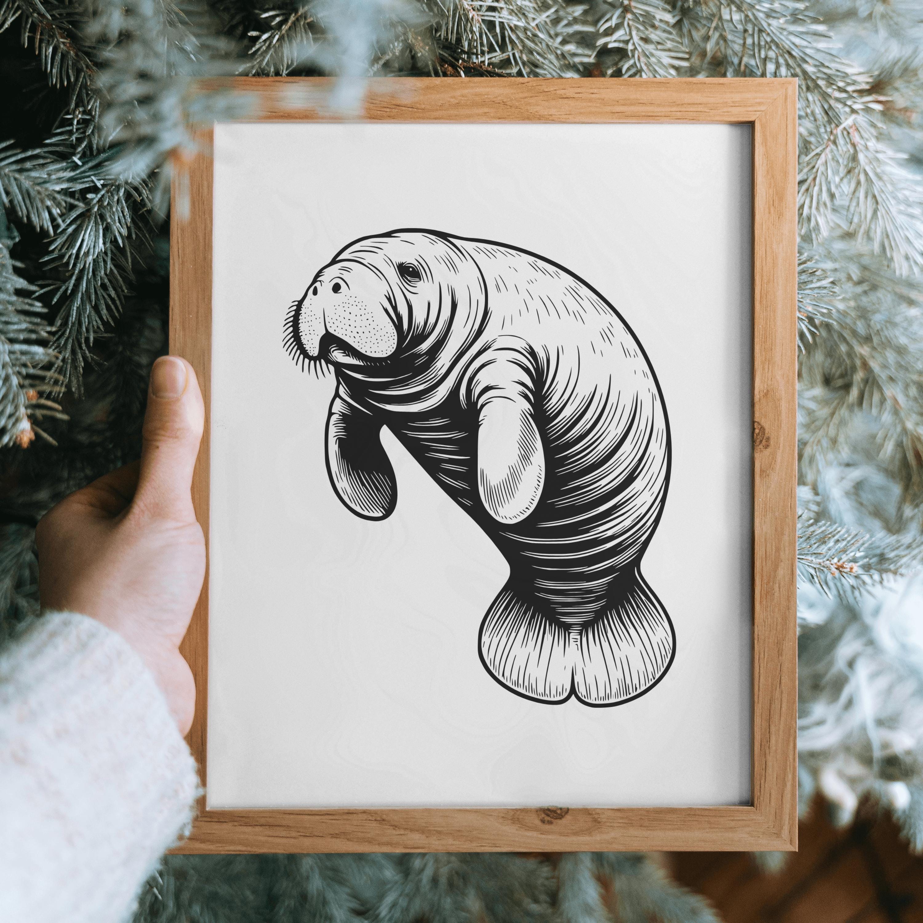 Manatee Svg Png Pdf Jpg,diy Crafts,manatee Clipart,manatee Vector Image ...