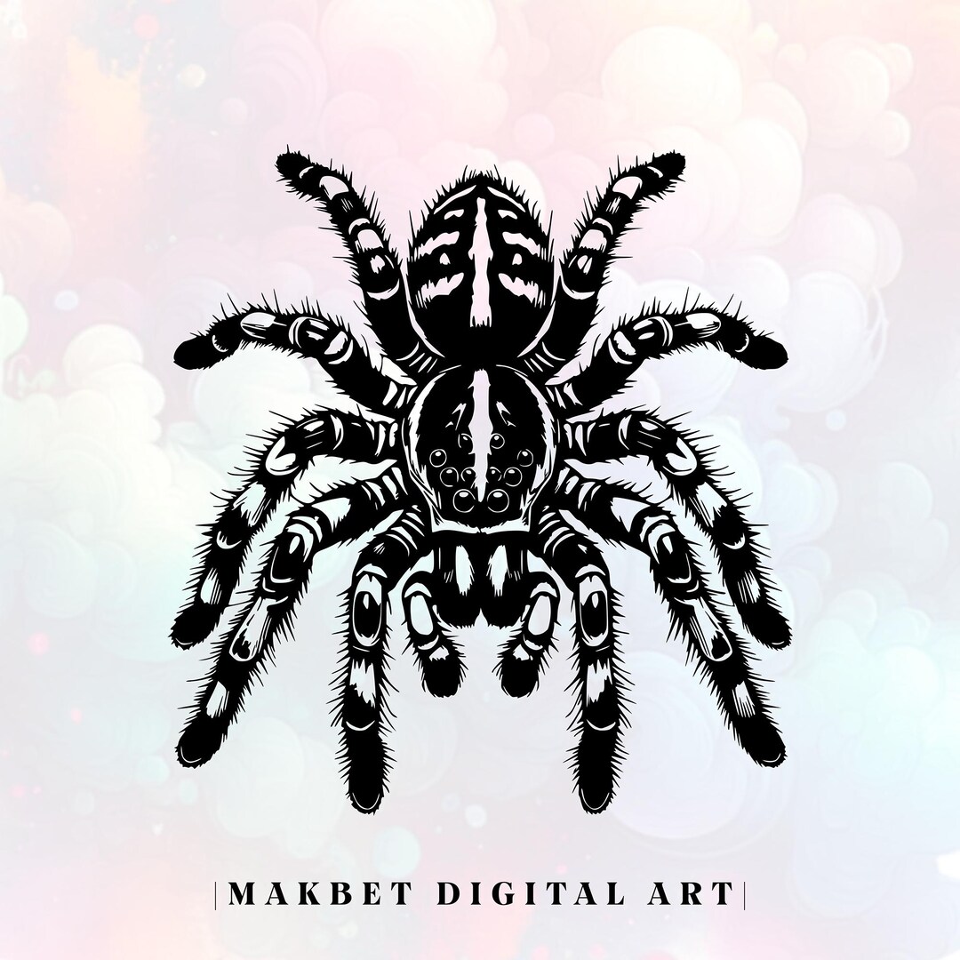 Tarantula Spider Svg & Png,tarantula Svg,clipart,spider Vector Image ...